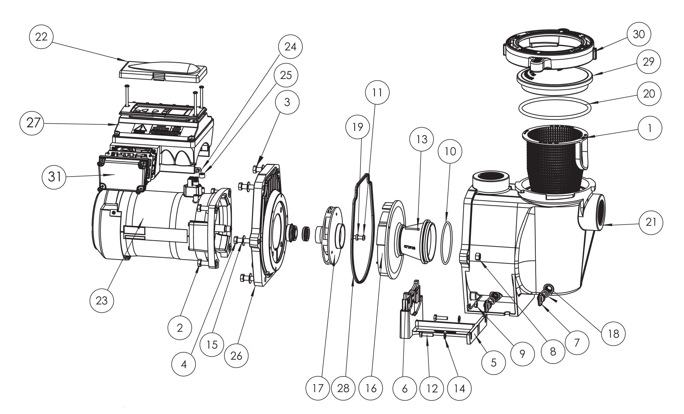 IntelliPro VS + SVRS Pump parts at Doheny's | Doheny's